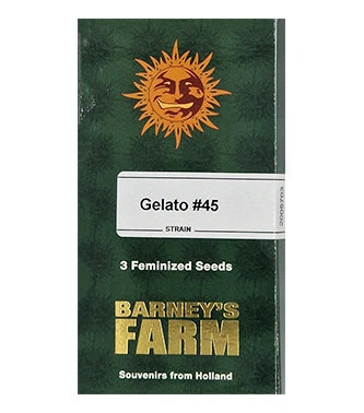 Gelato 45 Barney's Farm – TBS Genetics