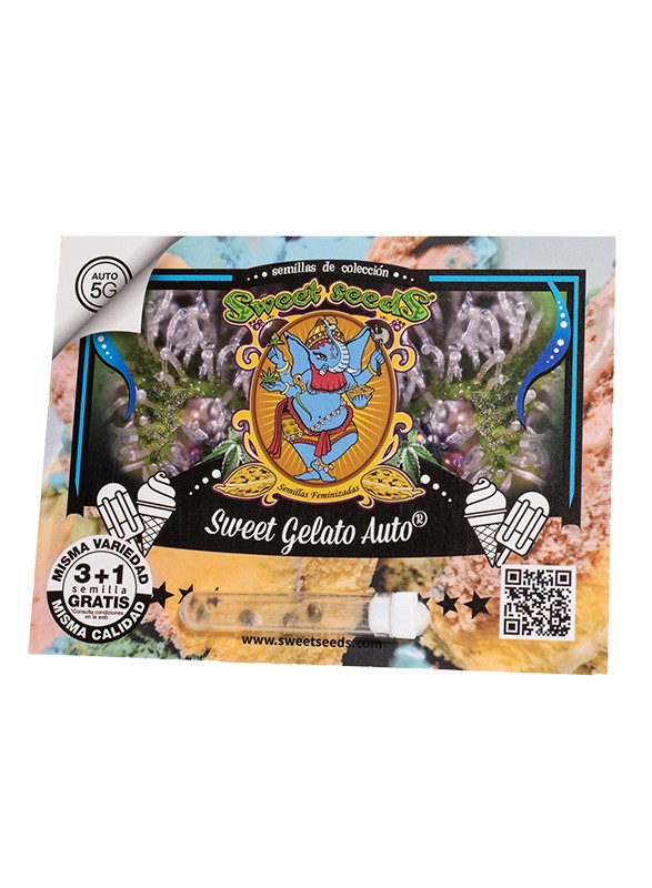 Sweet Gelato Auto 3 +1 - Sweet Seeds – TBS Genetics